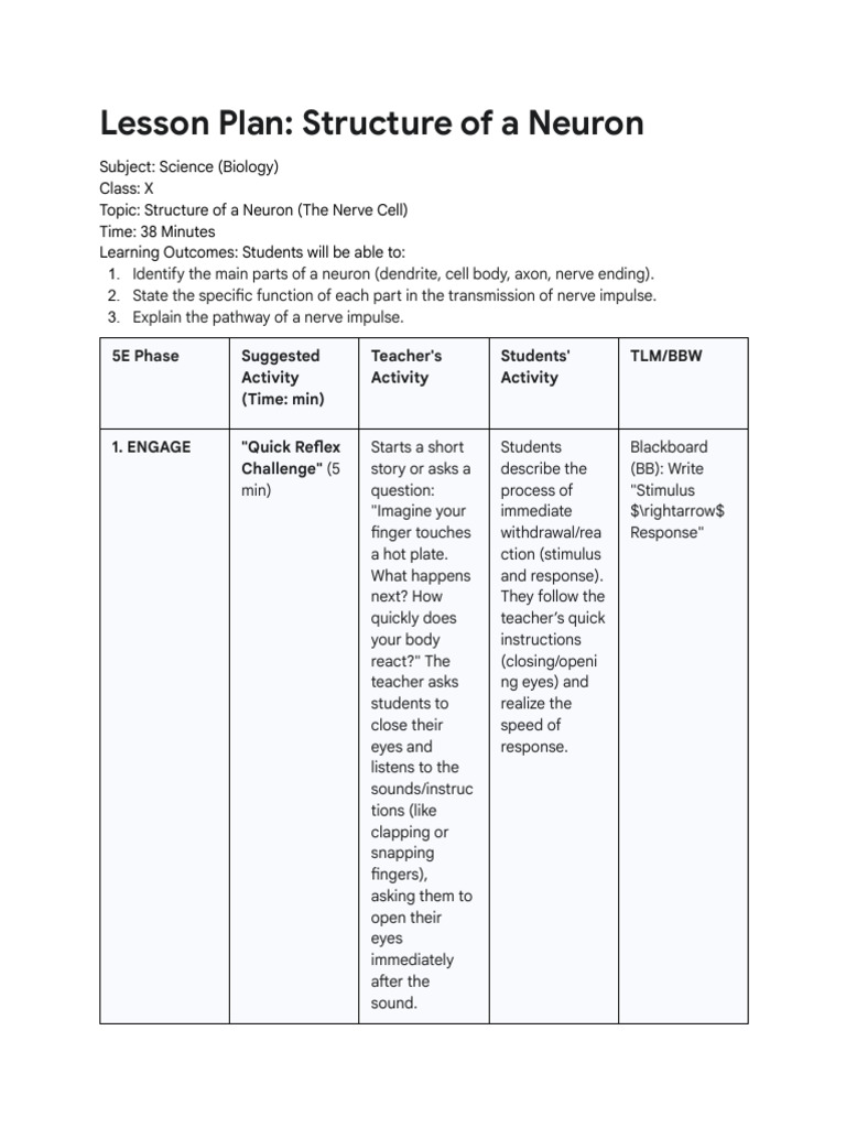 Prerpare A Lesson Plan On The Topic of - Structure... | PDF | Neuron ...