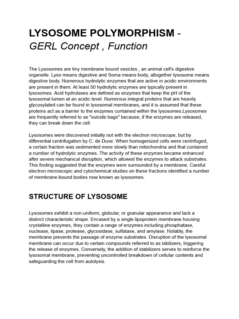 Lysosome Cell Bio Assignment | PDF | Lysosome | Vacuole