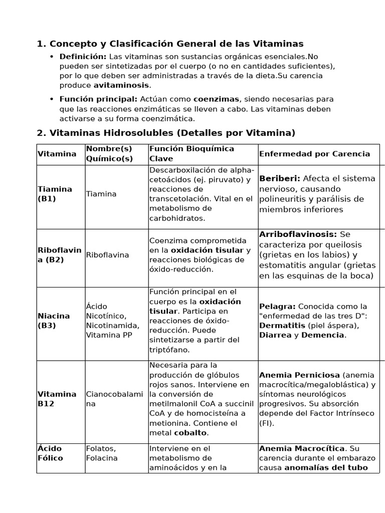 Clasificación y Funciones de Vitaminas | PDF | Vitamina | Vitamina D