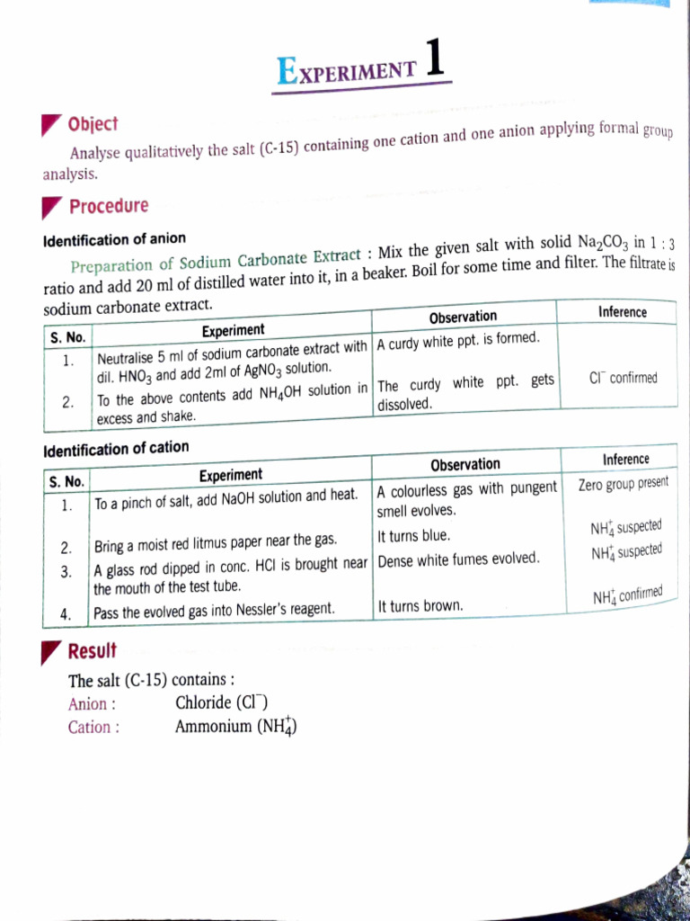 Practical | PDF | Ammonia | Salt (Chemistry)