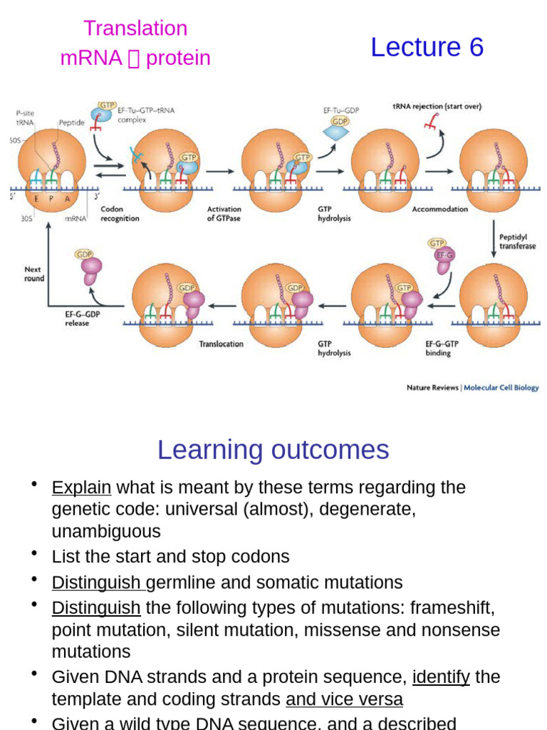 Lecture 6 Basic Notes - Post For Prep and in The Class | PDF ...