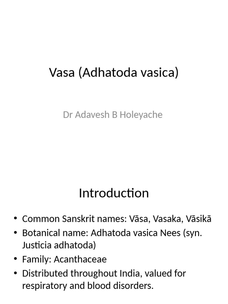 Vasa (Adhatoda vasica) Overview and Uses | PDF