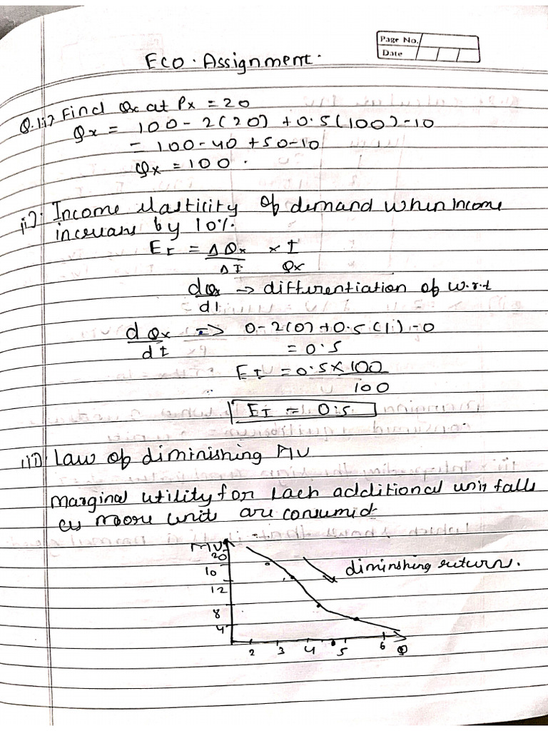 Eco Assignment | PDF