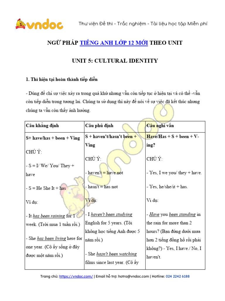 Ngu Phap Unit 5 Lop 12 Cultural Identity | PDF
