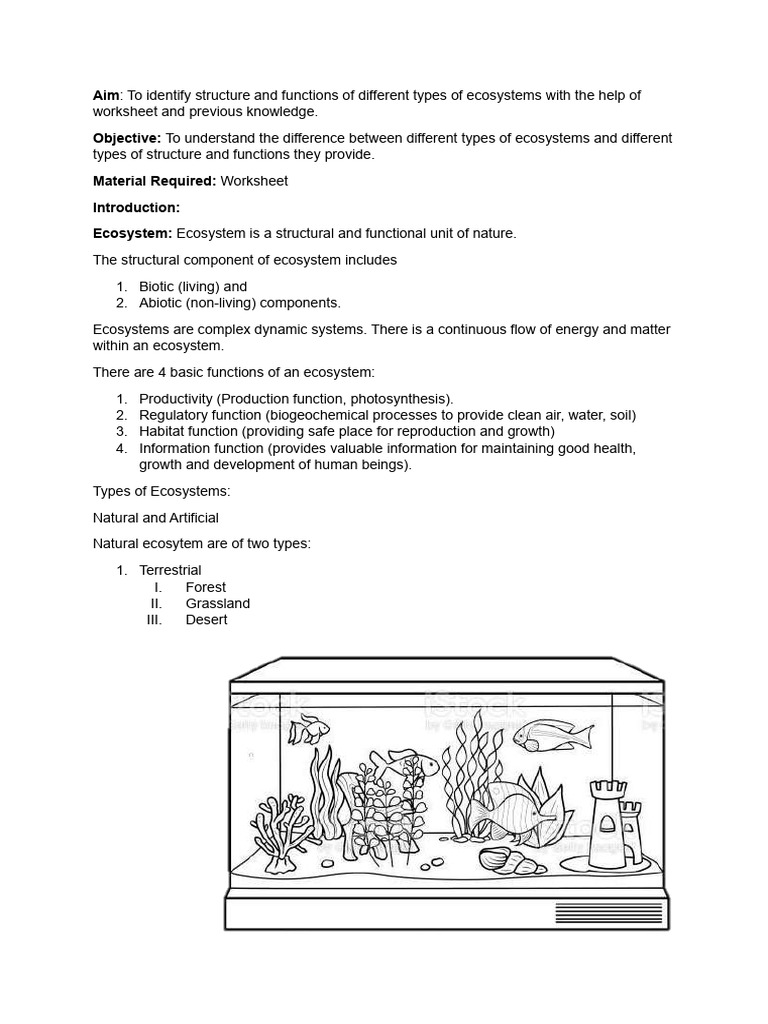 Understanding Ecosystem Structures | PDF | Ecosystem | Nature