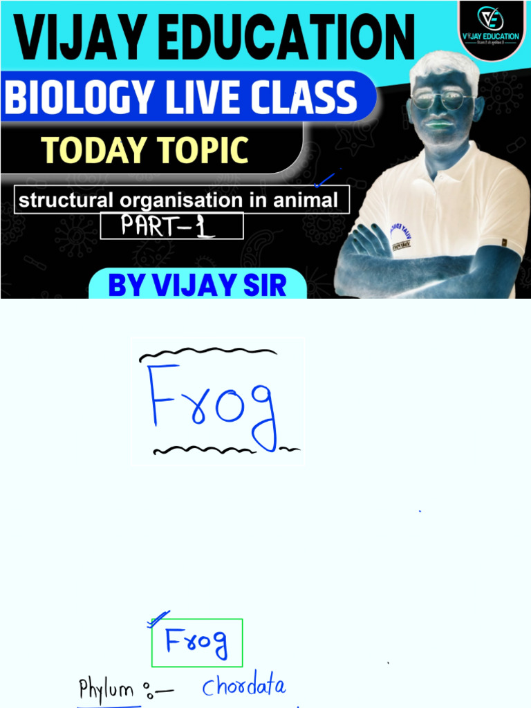 Structure1 Merge Invert | PDF