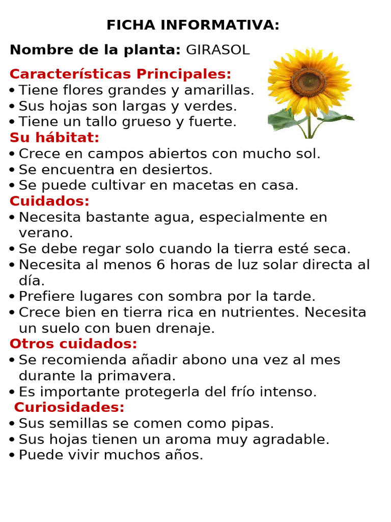 Ficha Informativa Girasol | PDF