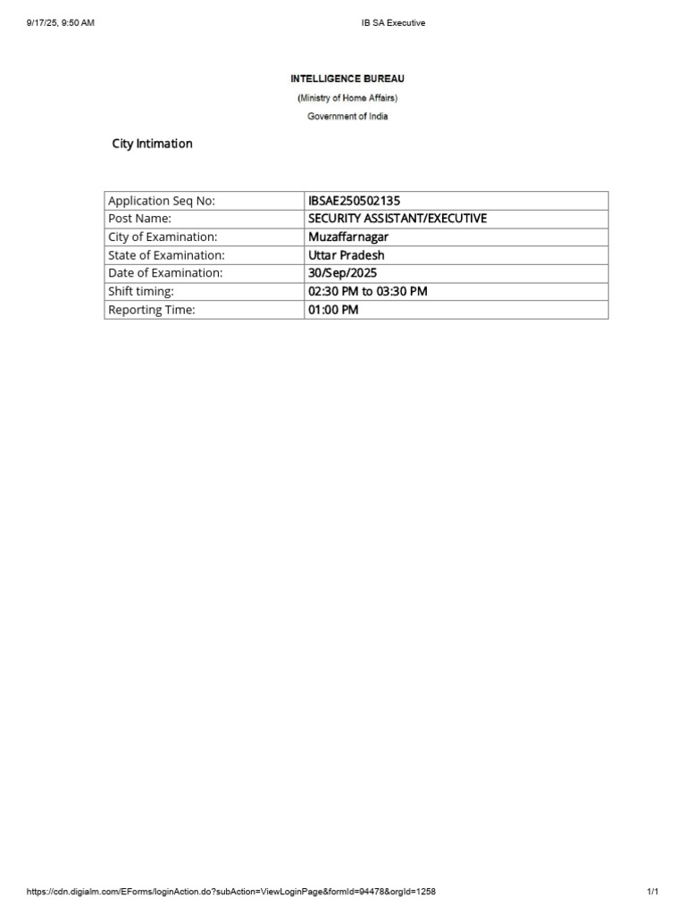 IB SA Executive | PDF