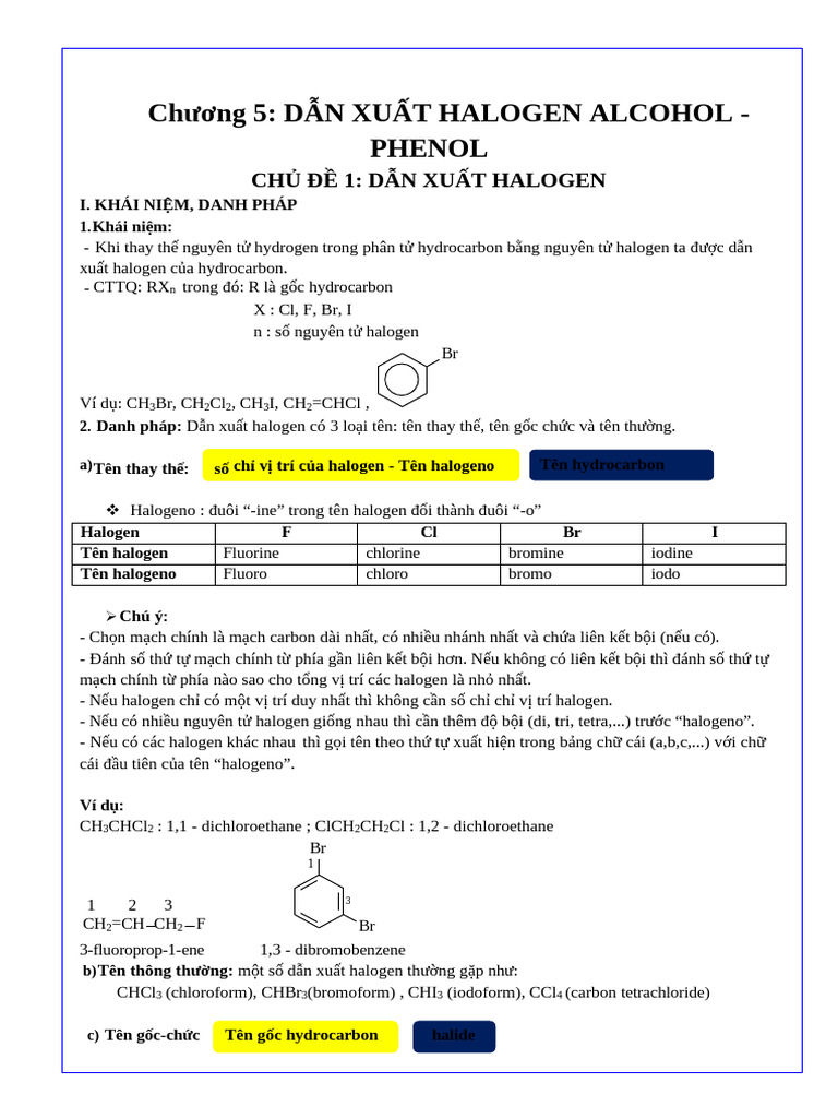 Chuyen de Dan Xuat Halogen - Alcohol - Phenol FBDFF | PDF
