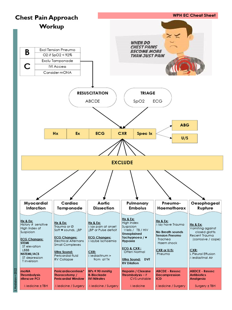 Chest Pain Workup Guidelines 2022 | PDF