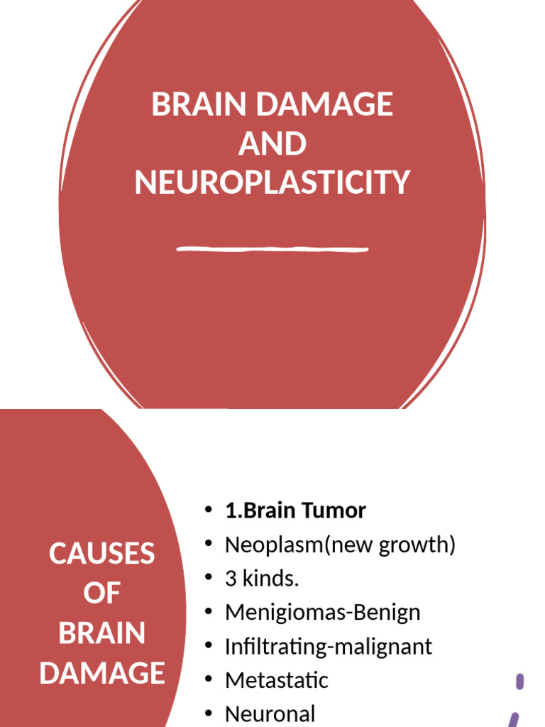 Causes and Effects of Brain Damage | PDF | Central Nervous System ...