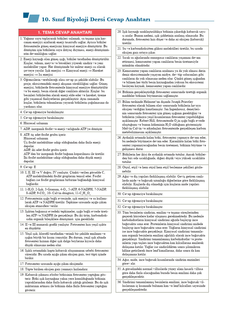 Sinif Karekod Tema Cevap Anahtari | PDF
