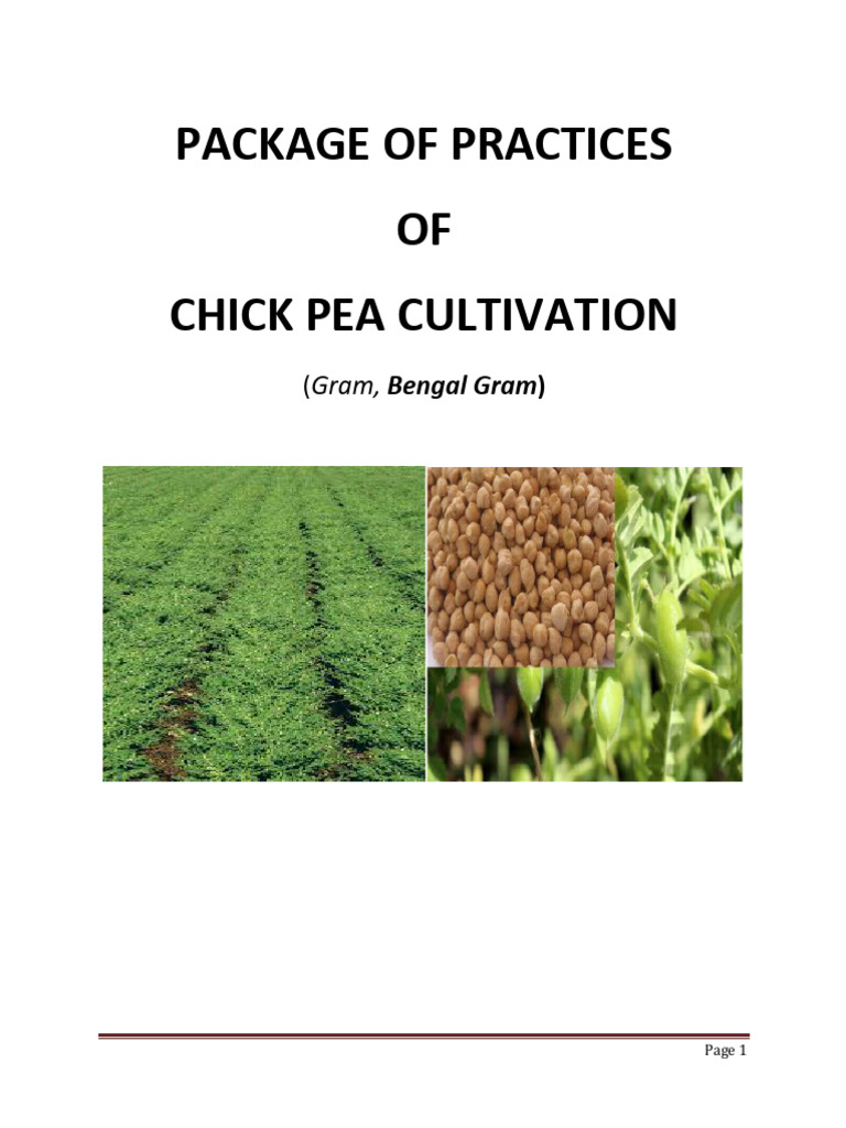 03 Gram Cultivation | PDF | Legume | Chickpea