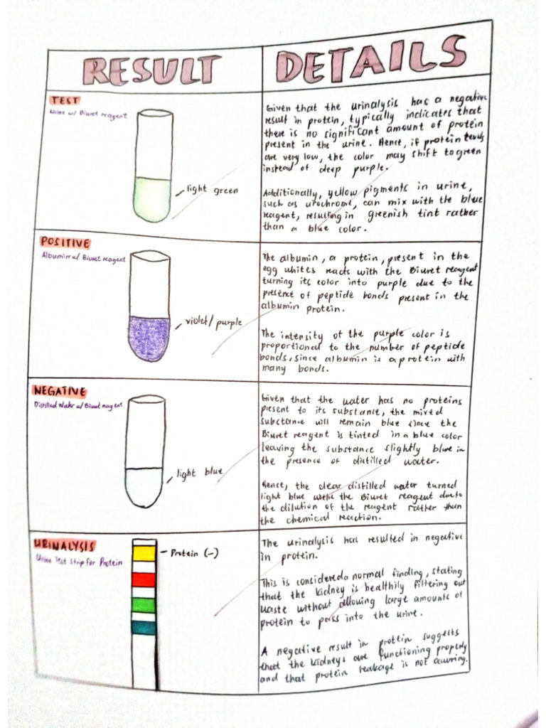 Biuret Test | PDF