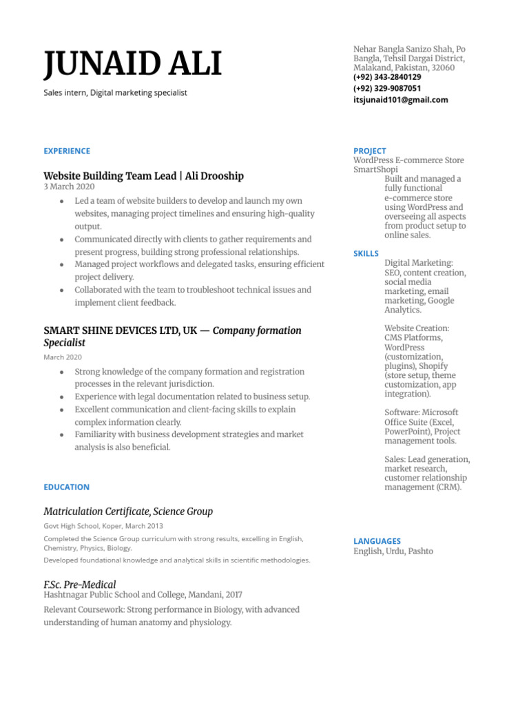 Junaid Resume | PDF | Word Press | Digital Marketing