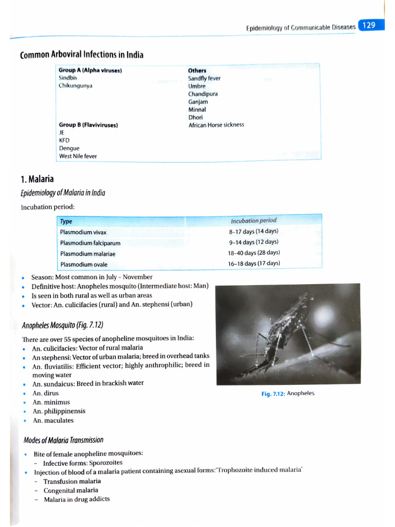 Common Arboviral Infection | PDF