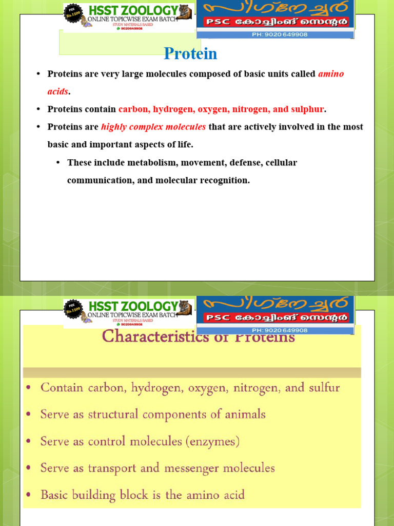 Proteins - Structure HSST Zoology | PDF