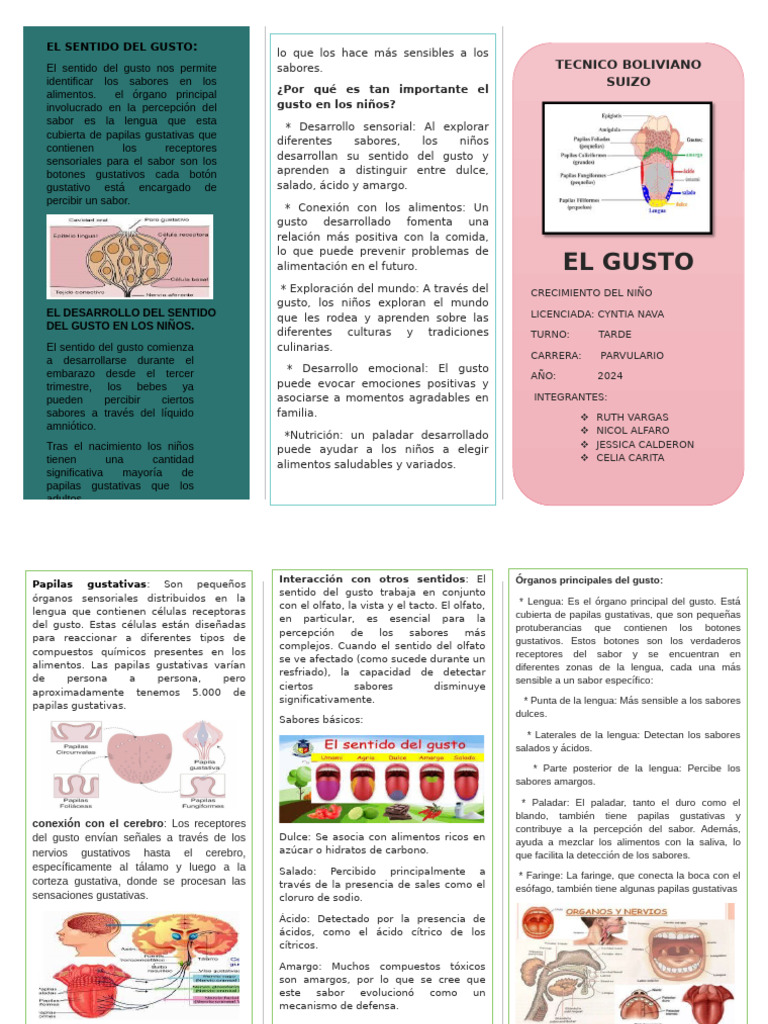 El Sentido Del Gusto | PDF | Gusto | Neurociencia
