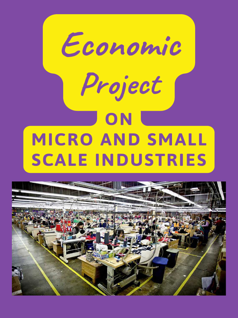 Class 12th Economic | PDF | Economy Of India | Economies