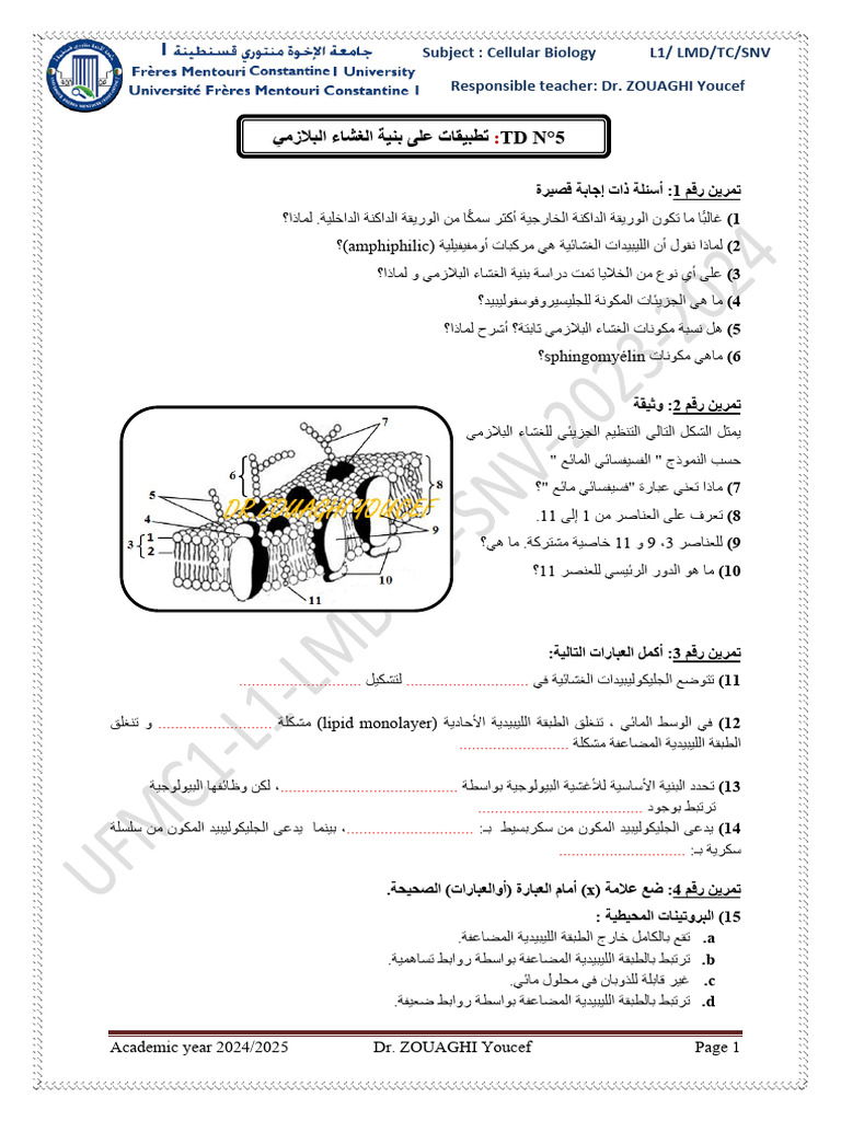TD N°5-تطبيقات على بنية الغشاء البلازمي Dr.ZOUAGHI Youcef UFMC1 2024 ...