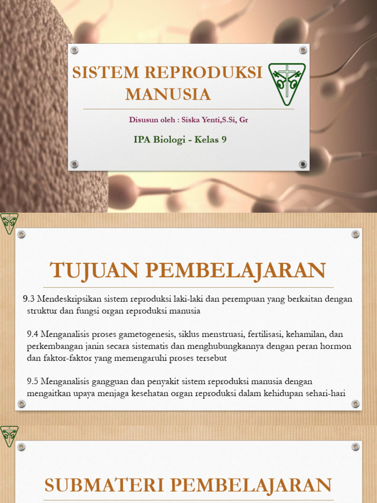 Handout _ Human Reproductive System_Siska Yenti.pptx | PDF