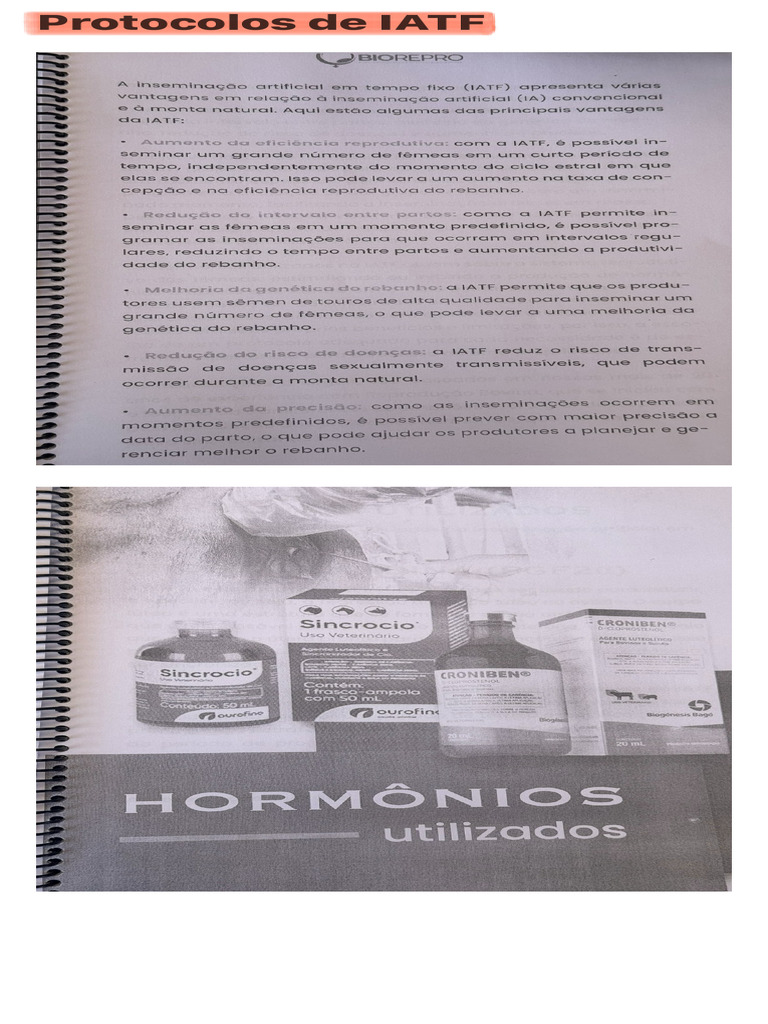 Protocolos de IATF | PDF