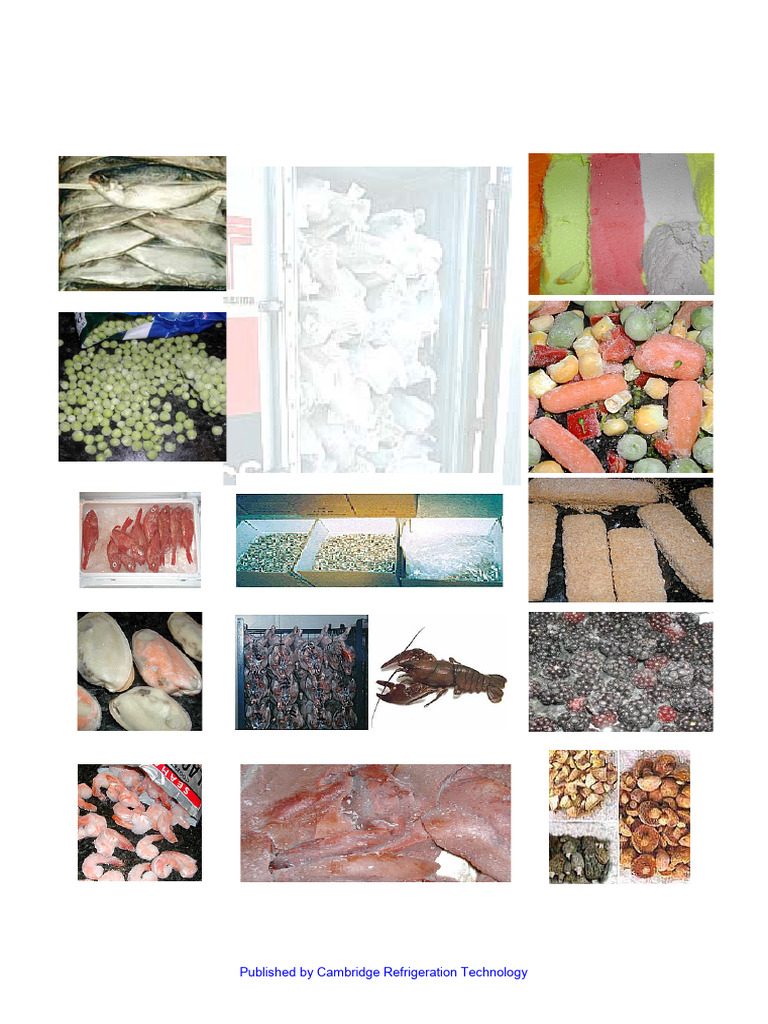 Carriage of Frozen Cargo | PDF | Refrigerator
