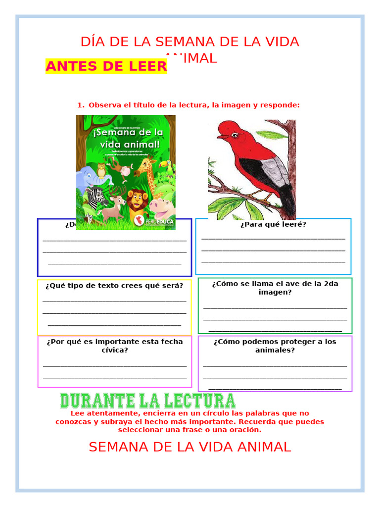 Ficha Fcivica Semana de La Vida Animal FB Maestras de Primaria Peru 933623393 | PDF ...