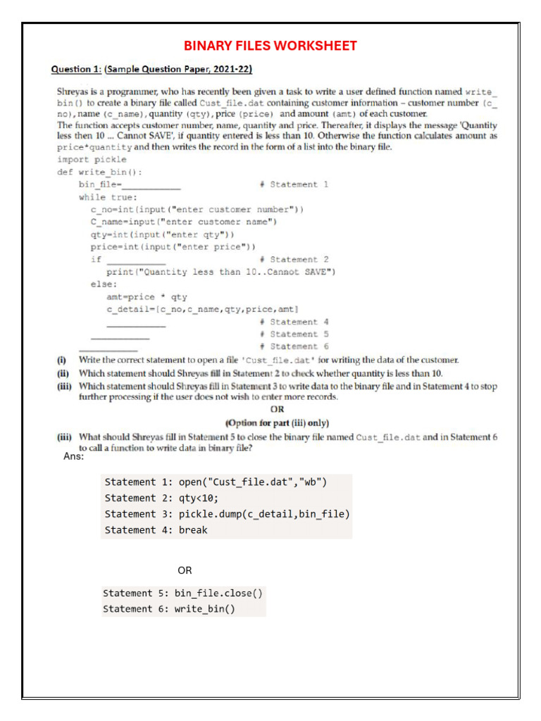 Binary Files Worksheet | PDF
