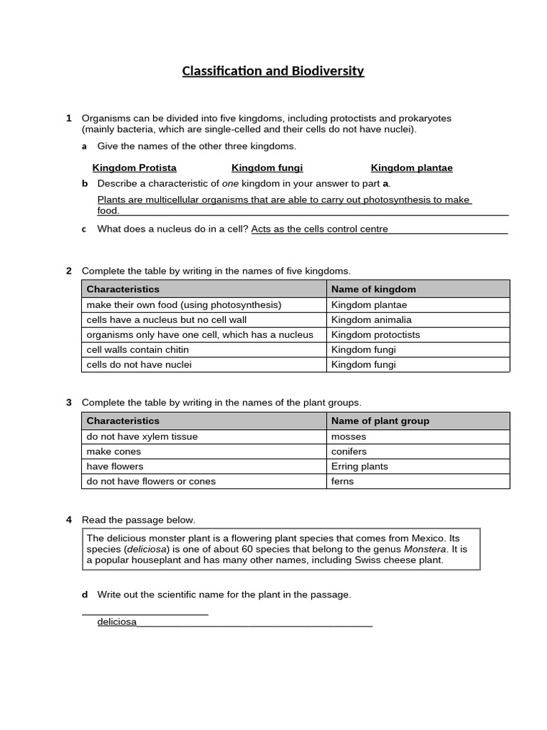 Classification and Biodiversity Worksheet Science | PDF