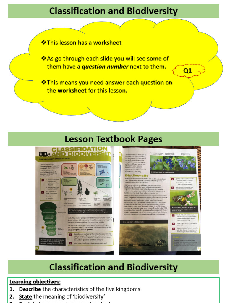 Classification and Biodiversity Lesson | PDF | Cell (Biology) | Cell Wall