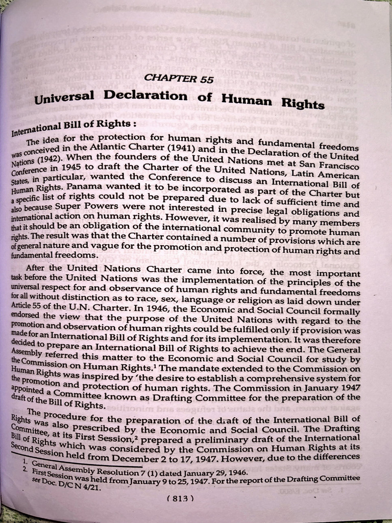 Udhr | PDF