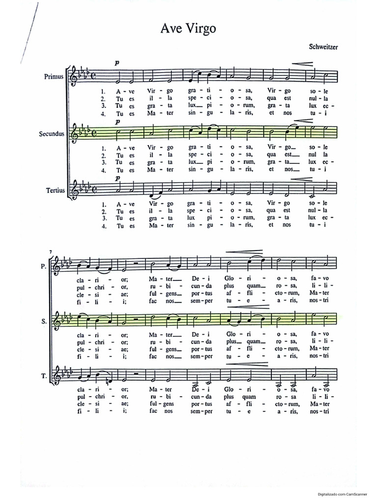Ave Virgo | PDF