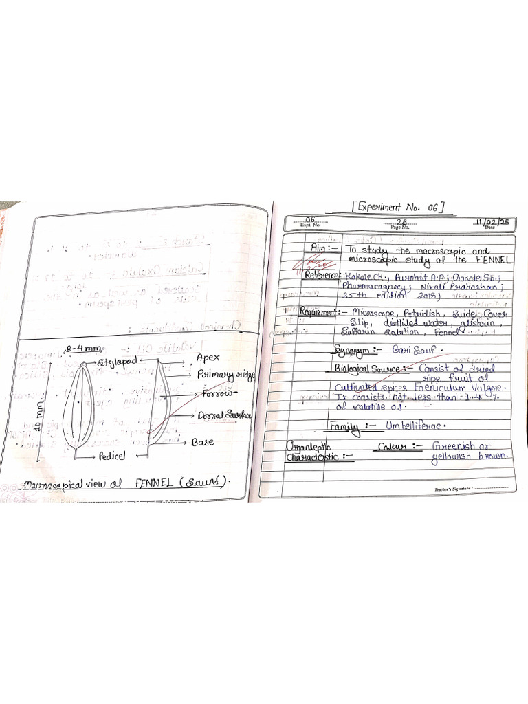 Pharmacognosy Practical 06 | PDF