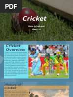 Cricket Team and Player Profile Template | PDF
