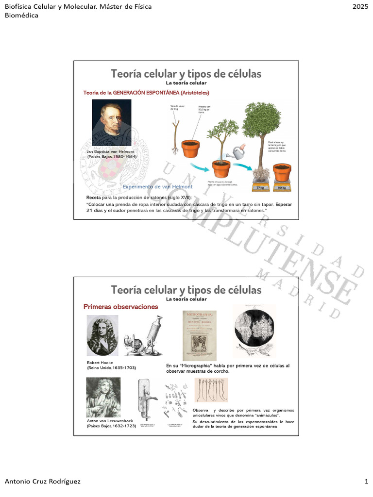 Presentación T1. Teoría Celular | PDF | Biología Celular) | Fermentación