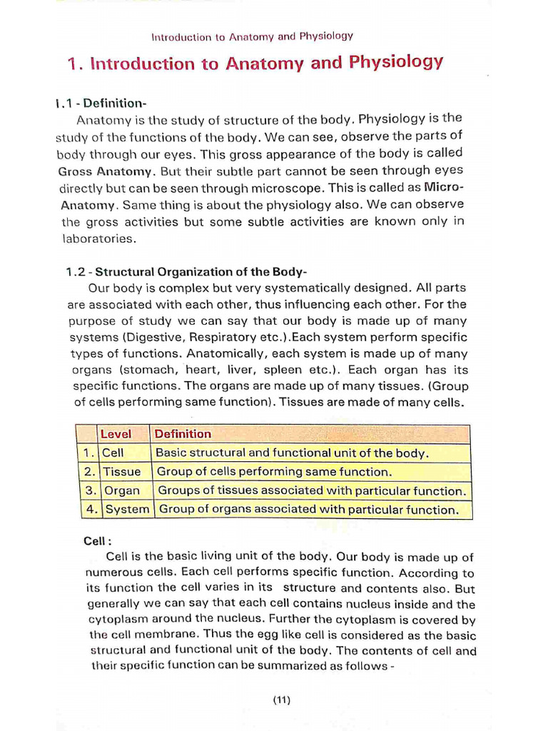 Anatomy & Physiology | PDF