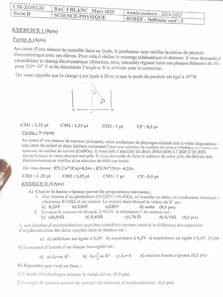 Bac1 Blanc Psy | PDF
