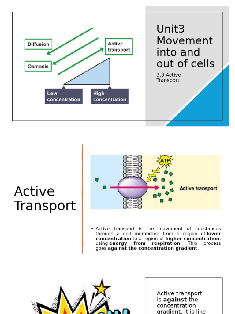 Active Transport in Cells Explained | PDF