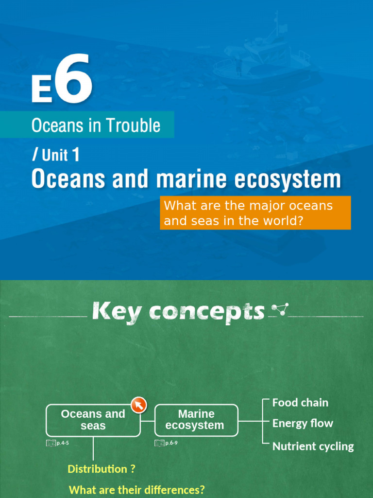 Major Oceans and Seas Overview | PDF