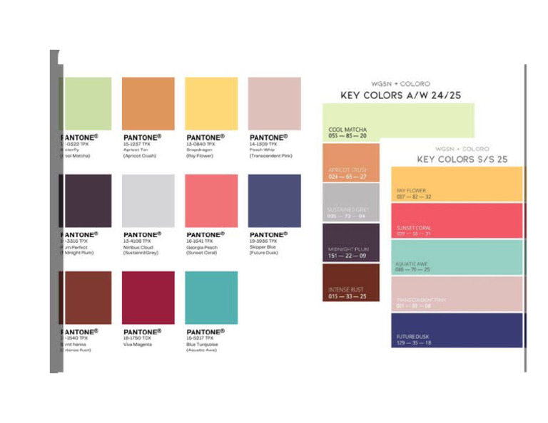 Pantone Aw 24-25 Ss25 | PDF