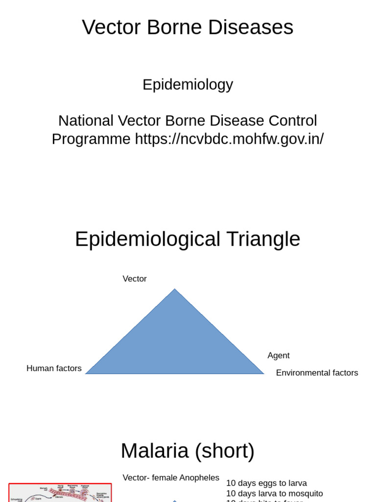 Vector Borne Diseases | PDF | Mosquito | Malaria