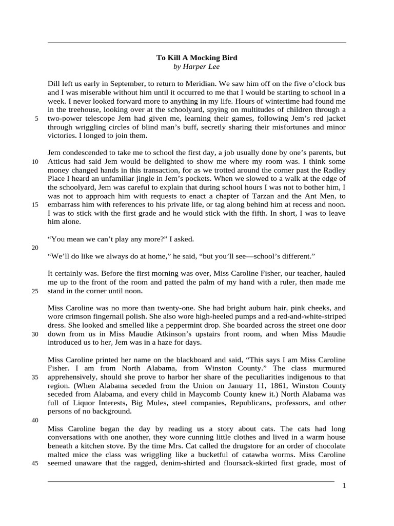 School Day Reflections in Maycomb | PDF | To Kill A Mockingbird