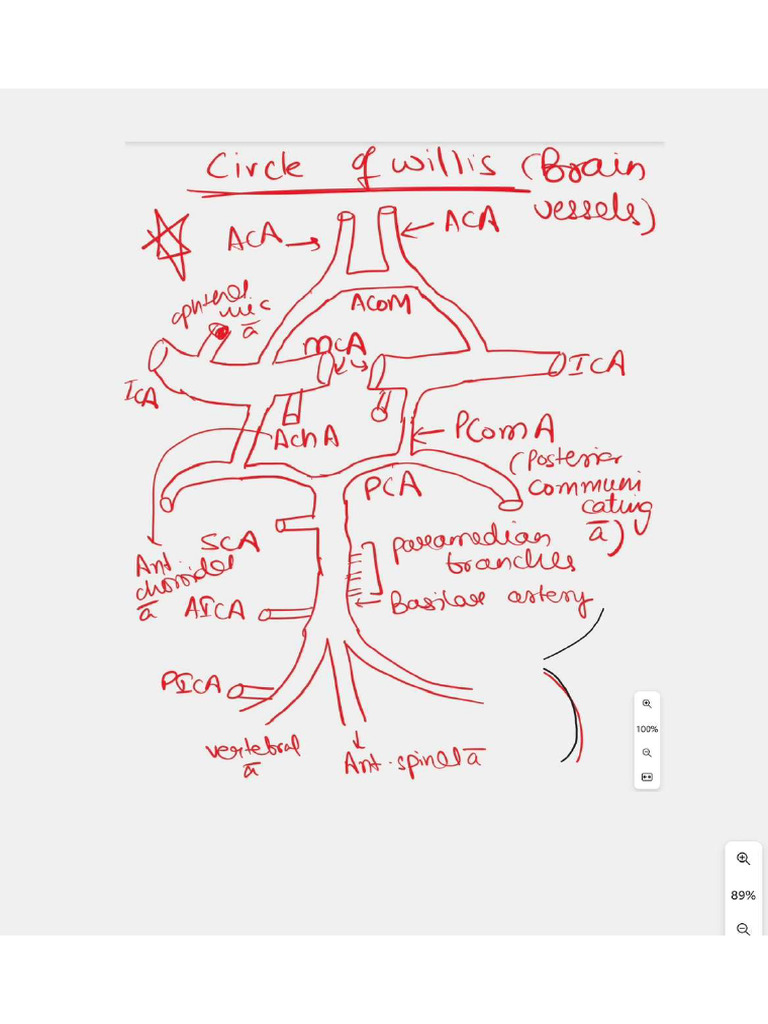 Stroke Neurology | PDF
