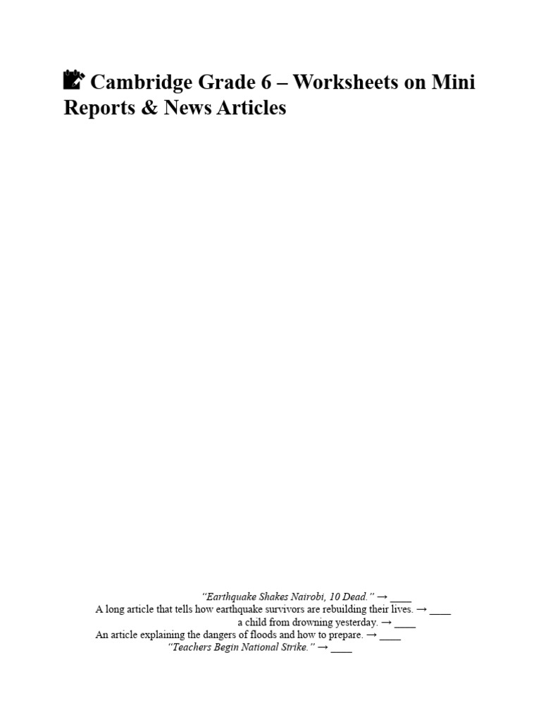 Worksheet Mini Report | PDF