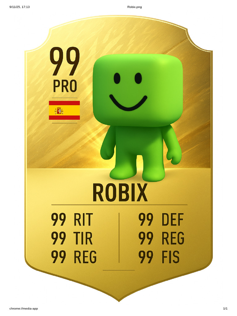 Robix PNG | PDF