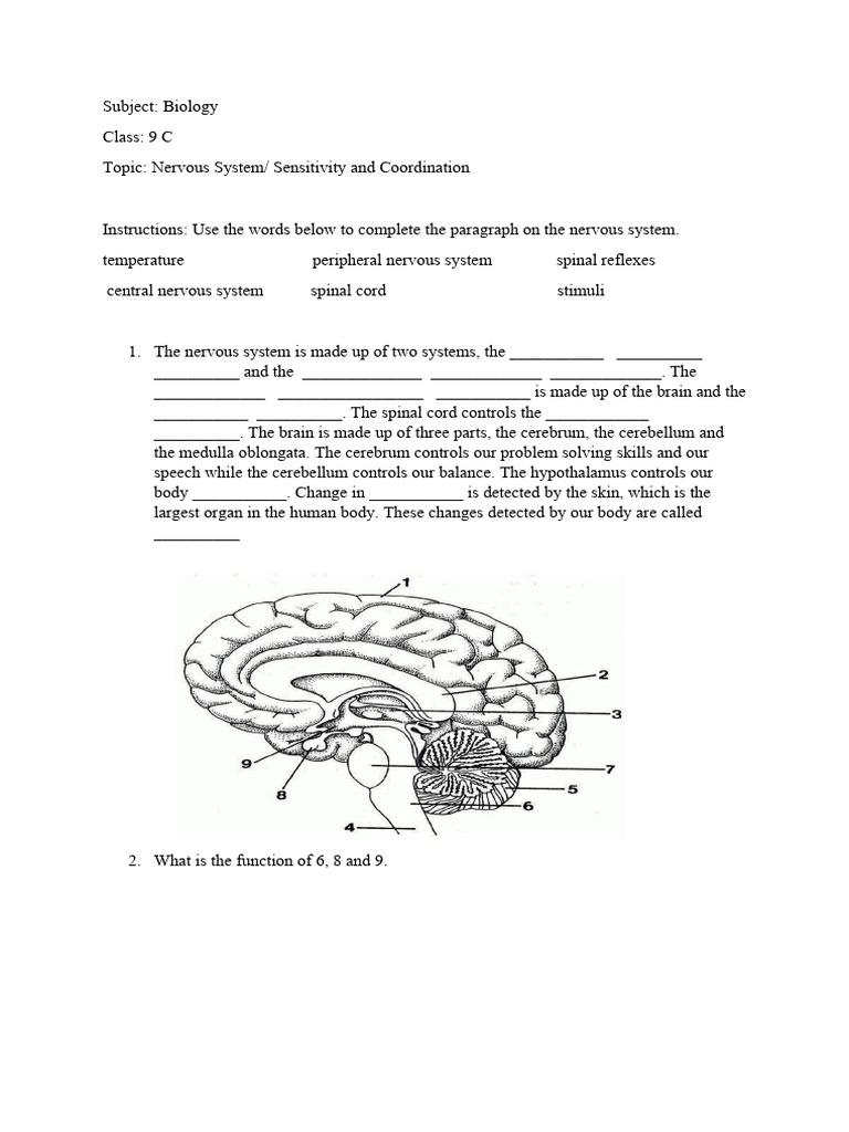 Nervous System: Sensitivity & Coordination | PDF