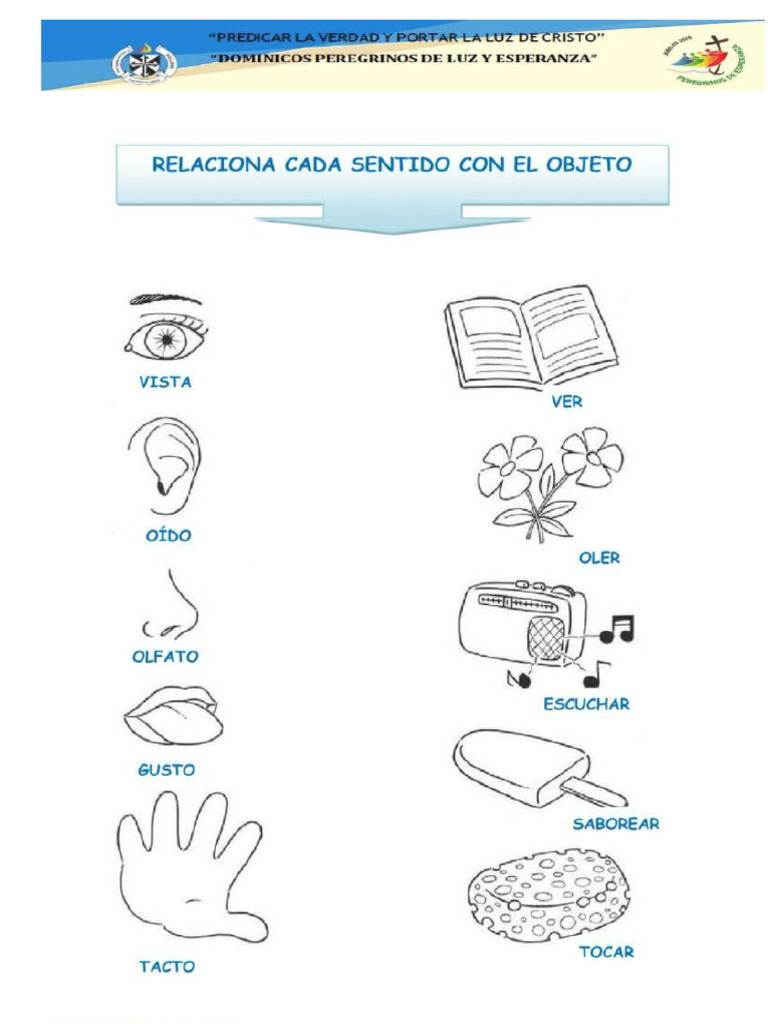 Ficha de Los Sentido | PDF