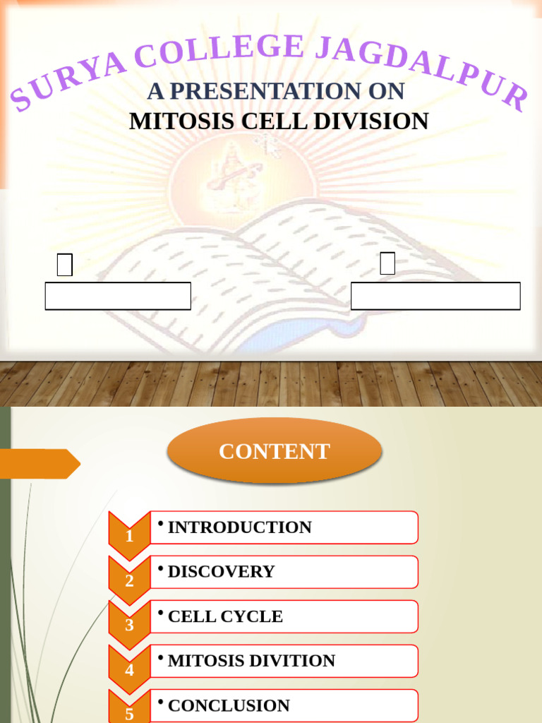 A Presentation On Mitosis | PDF | Mitosis | Genetics