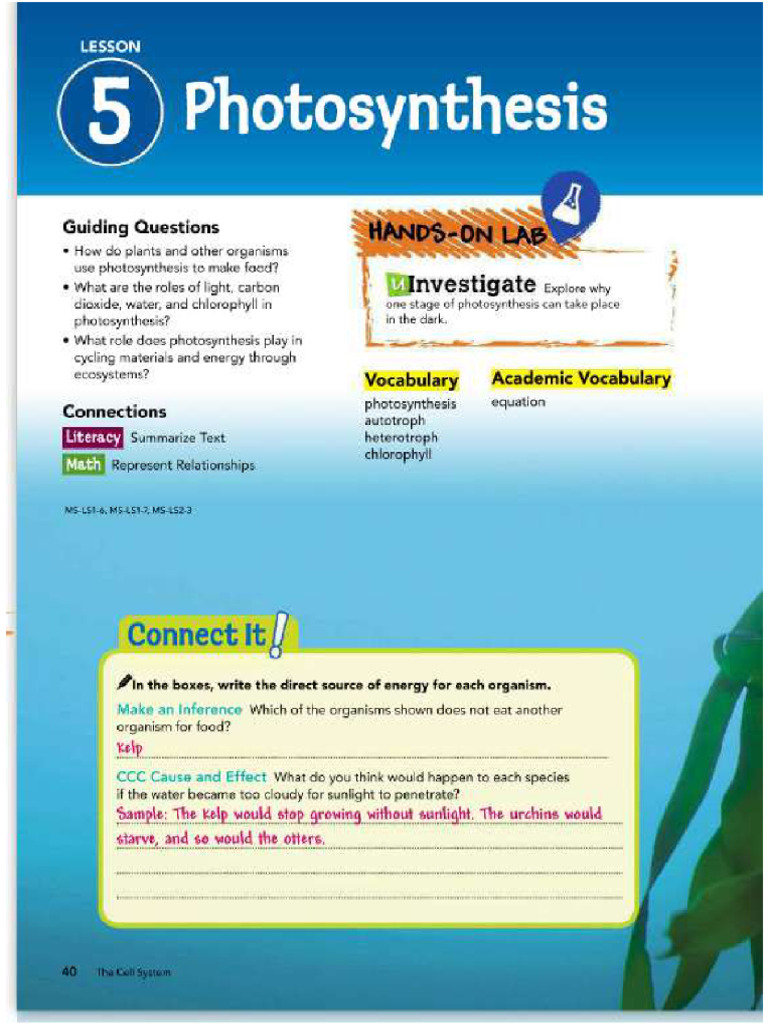 Lesson 5 Photosynthesis OCR | PDF | Photosynthesis | Biology